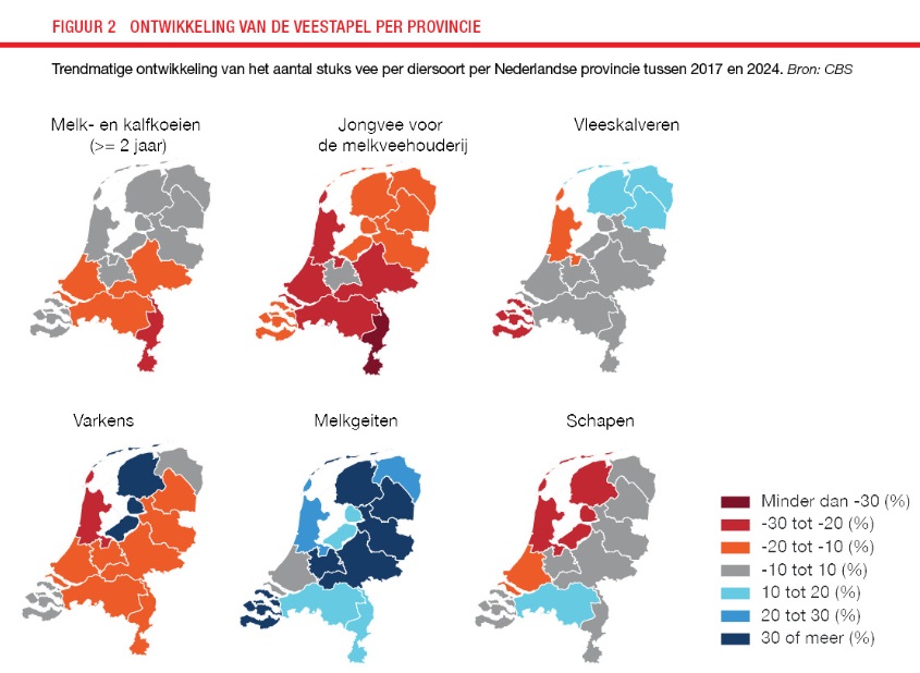 Krimp Nederlandse veestapel zet door in 2025 en 2026 – V-focus